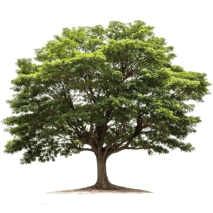 Eric Dagley Obituary (1949 - 2024) - Wells, Maine